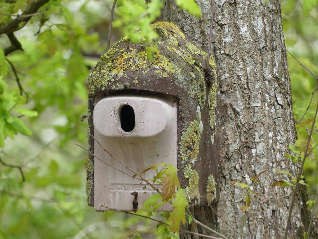 Tout savoir sur les nichoirs - Visitas guiadas y salidas a la naturaleza
